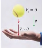 Slobodan pad | Aziza Physics Online