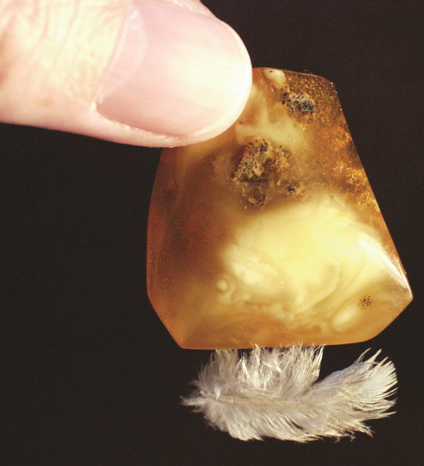 Electrostatics – Aziza Physics Online