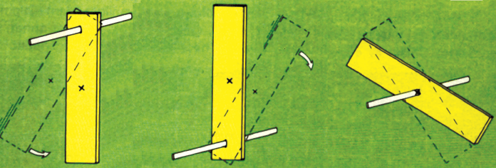 The Gravity Force, Weight, and The Center of Gravity | Aziza Physics Online