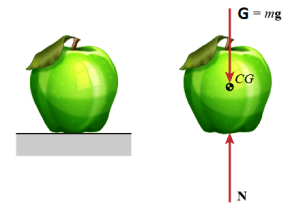 The Gravity Force, Weight, and The Center of Gravity | Aziza Physics Online